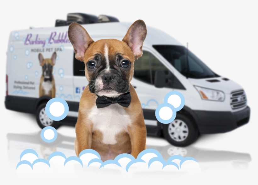 Dog Barking Png PNG Image | Transparent PNG Free Download on SeekPNG