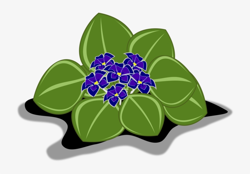 African Violets Plants Pansy Drawing Marsh Blue Violet - Flora Africana ...