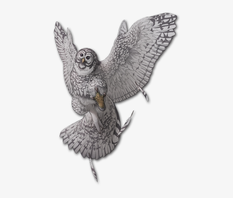 Snowy Owl - Snowy Owl Png PNG Image | Transparent PNG Free Download on ...