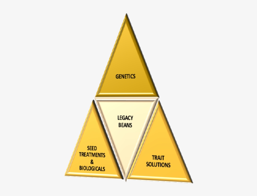 The Most Important Step To Maximizing Your Return On - Triangle PNG ...
