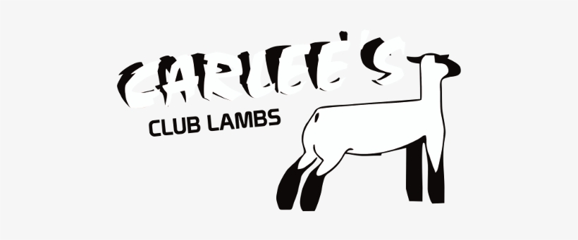 Download Pin Show Lamb Clipart | Transparent PNG Download | SeekPNG
