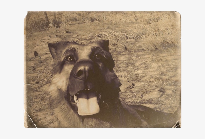 Download Dogmeat Atc - Fallout 4 | Transparent PNG Download | SeekPNG