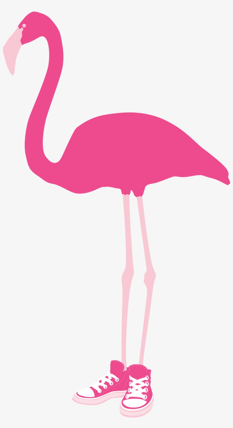 Pink Florida PNG Image | Transparent PNG Free Download on SeekPNG