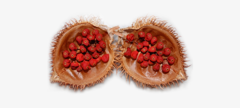 Kyäni Sunset® - Kyani Sunset Ingredients List PNG Image | Transparent ...