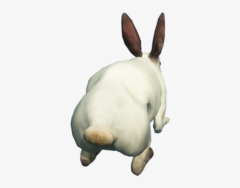 Free Download Of - Rabbit Back Png PNG Image | Transparent PNG Free ...