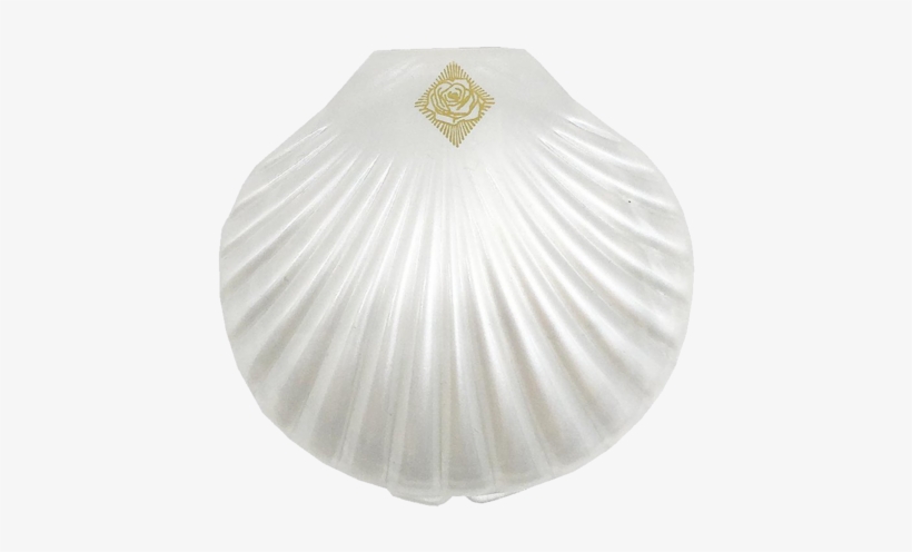 Download Seashell Compact Mirror - Seashell | Transparent PNG Download ...