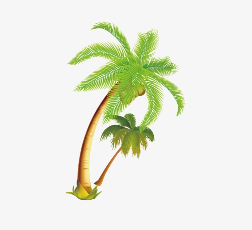 Coconut Tree Png Download Image - Coconut Tree Vector Png PNG Image ...
