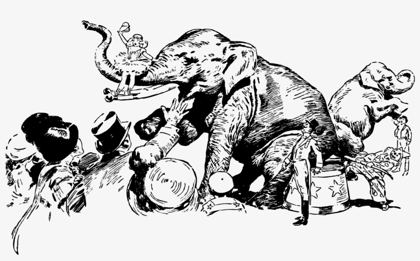 Download Elephantidae Circus Drawing Clown - Circusdrawing ...