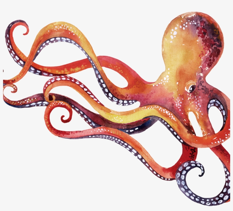 Octopus Small Flipped Copy - Drawing PNG Image | Transparent PNG Free ...