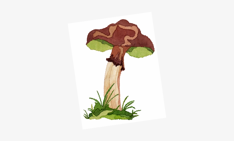 All My Best - Illustration PNG Image | Transparent PNG Free Download on ...