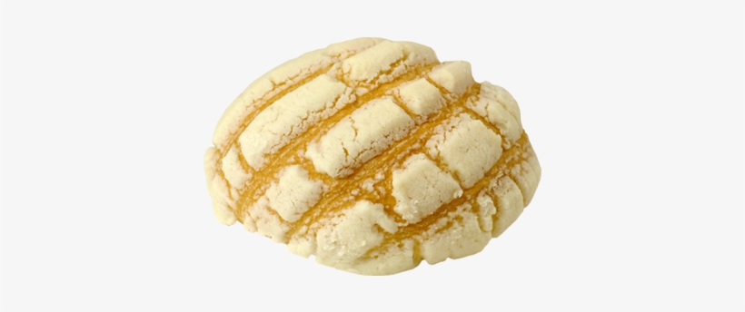 Concha Png PNG Image | Transparent PNG Free Download on SeekPNG