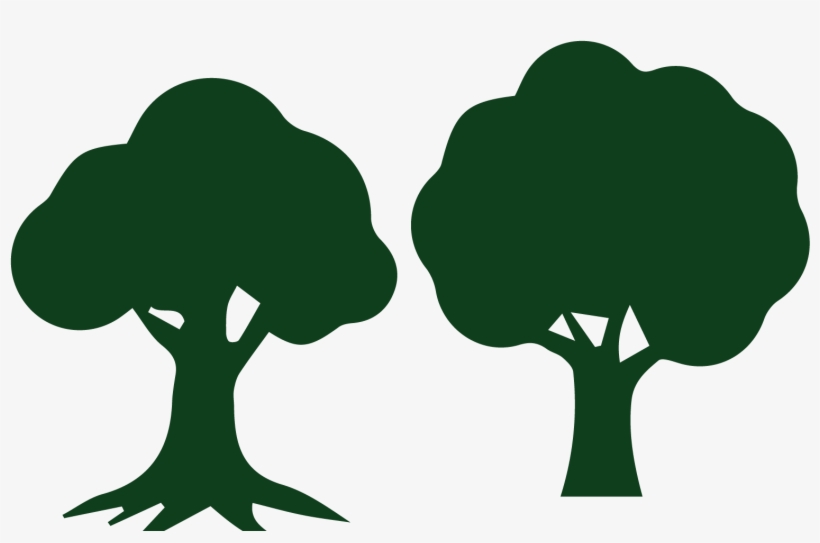 Tree Pruning And Brush Removal Services By Expert Tree - Tree PNG Image ...
