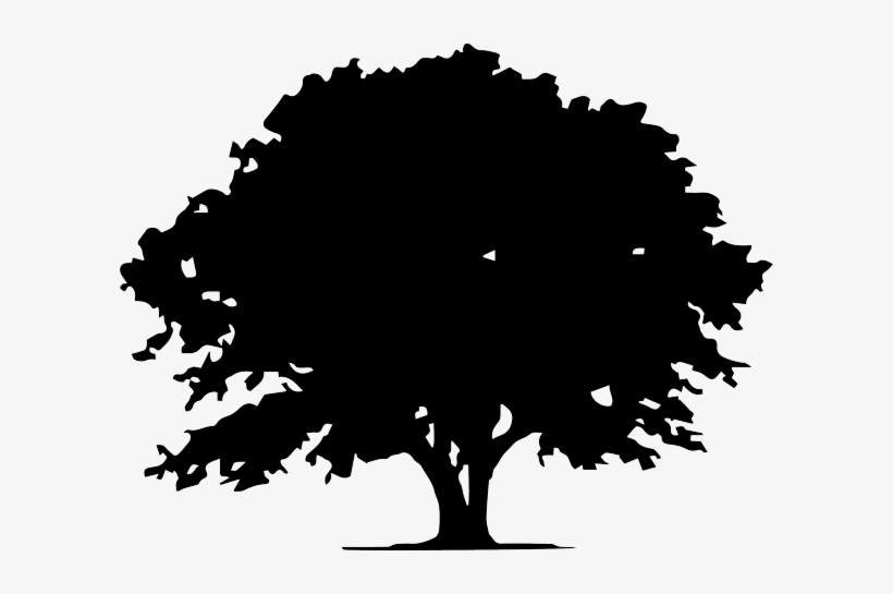 Download Transparent Oak Tree Icon | Transparent PNG Download | SeekPNG
