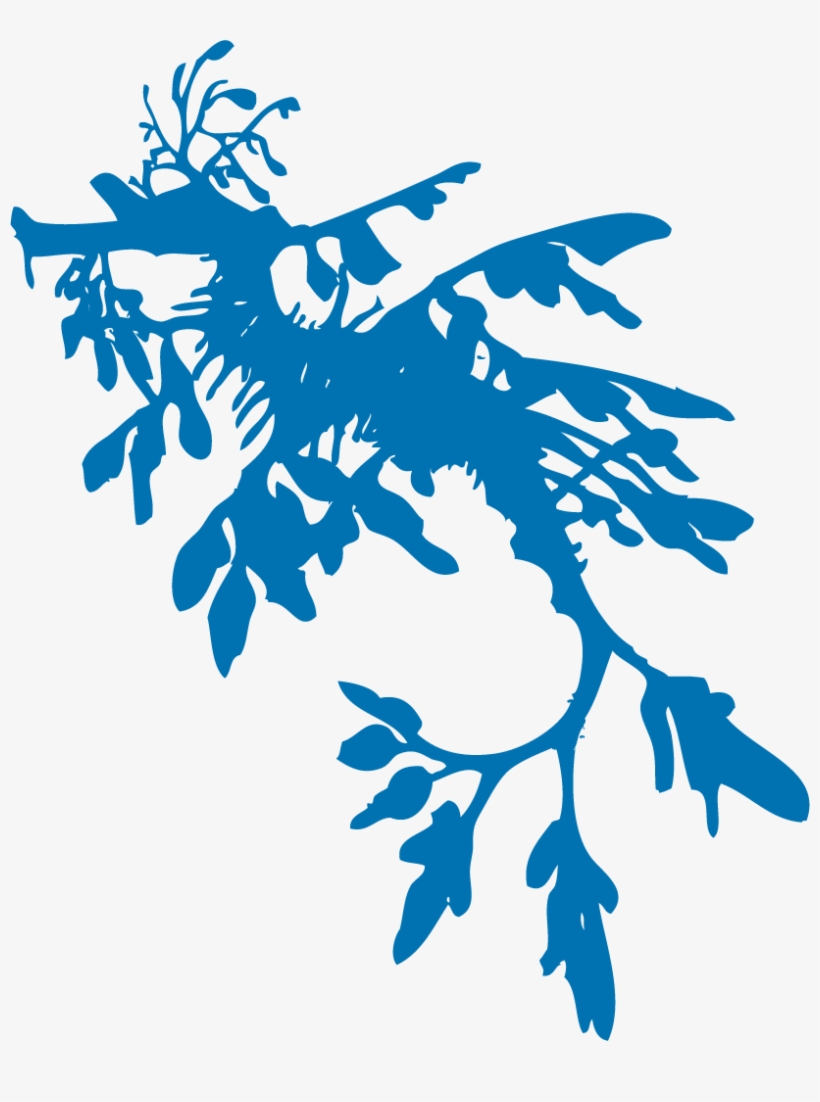 Seadragon - Seadragon Logo PNG Image | Transparent PNG Free Download on ...