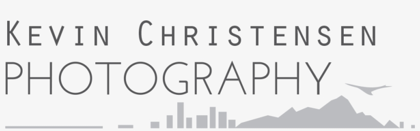 2 Tone Grey Logo - Watermark Font PNG Image | Transparent PNG Free ...