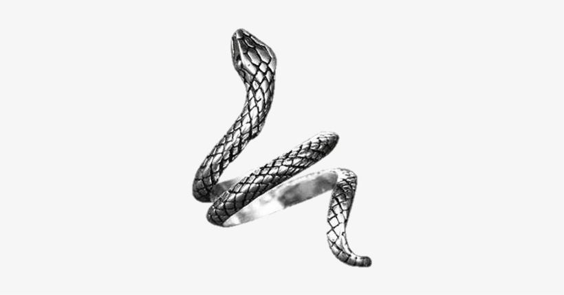 Download Editing Picsart Png Snake | Transparent PNG Download | SeekPNG