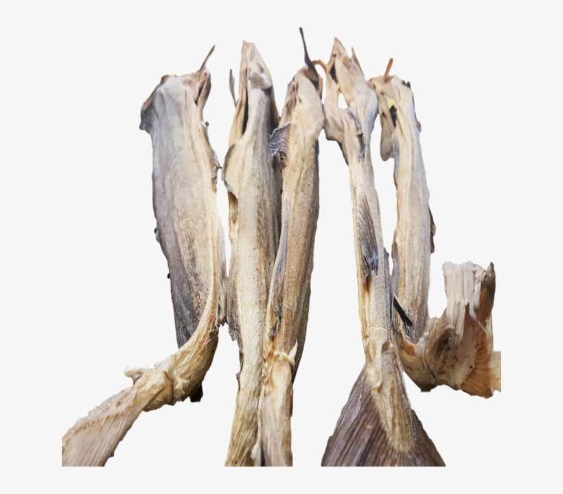Philippines Cod Fish, Philippines Cod Fish Manufacturers - Dried Cod ...