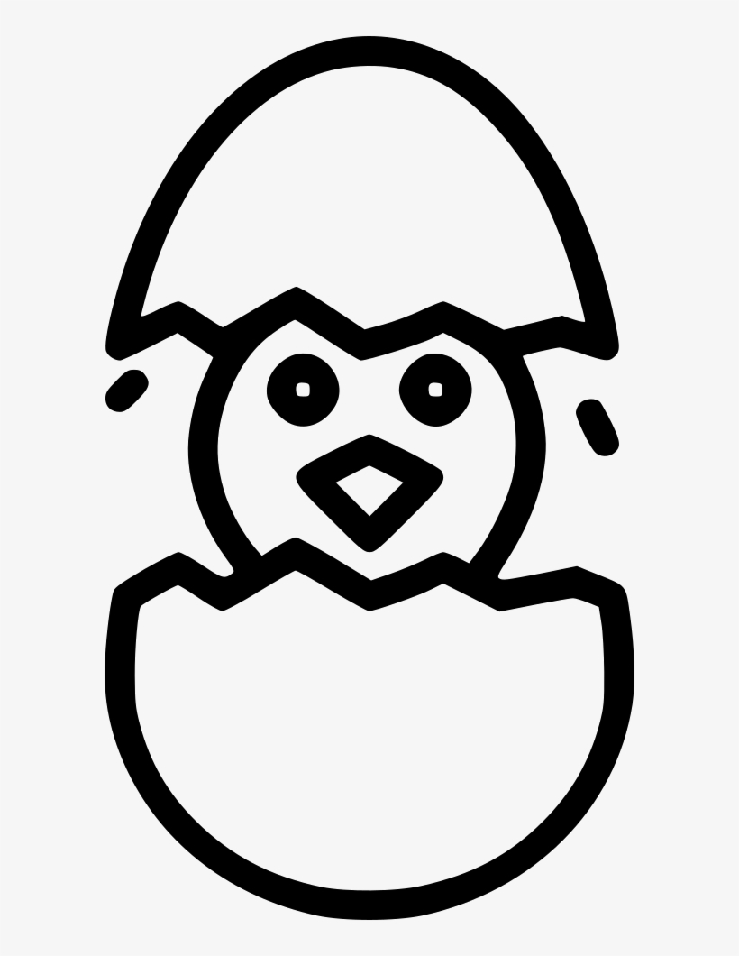 Baby Chicks Hatching Drawing