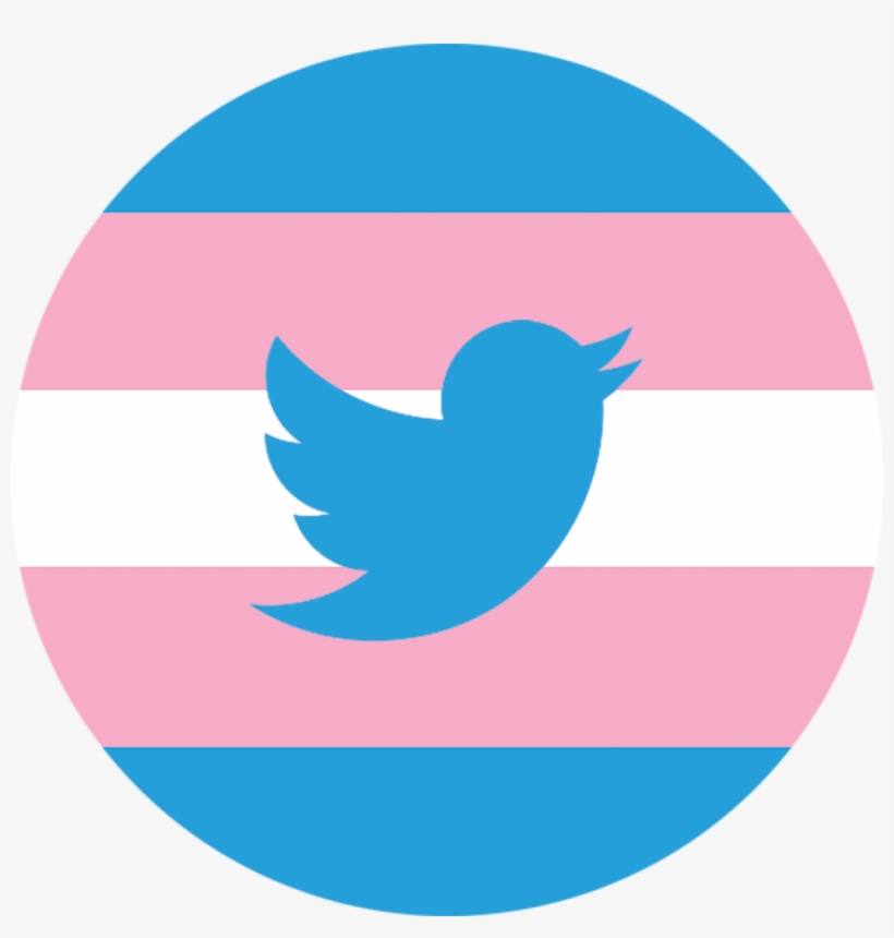 Twitter Trans Flag Rgb PNG Image | Transparent PNG Free Download on SeekPNG