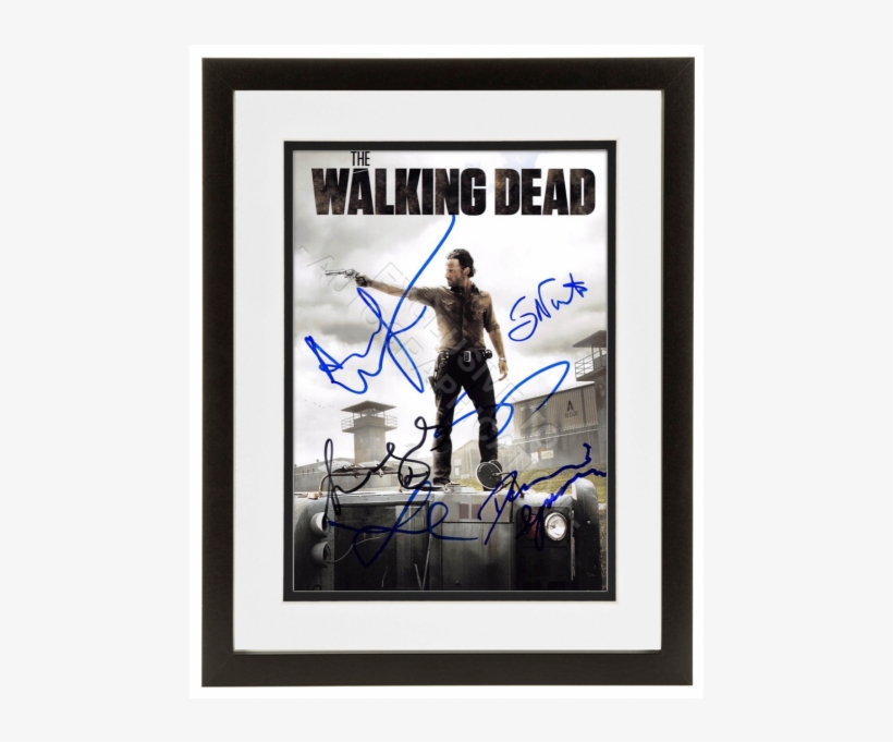 "the Walking Dead" (2010) PNG Image | Transparent PNG Free Download on ...