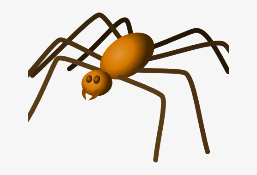 Spider Clipart Background