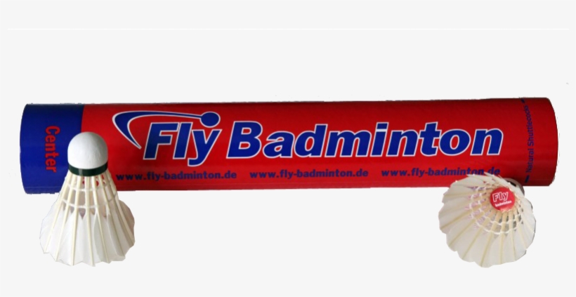 Fly Center - Badminton PNG Image | Transparent PNG Free Download on SeekPNG