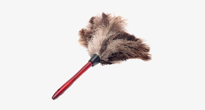 Download Duster - Duster Cleaning Tool | Transparent PNG Download | SeekPNG