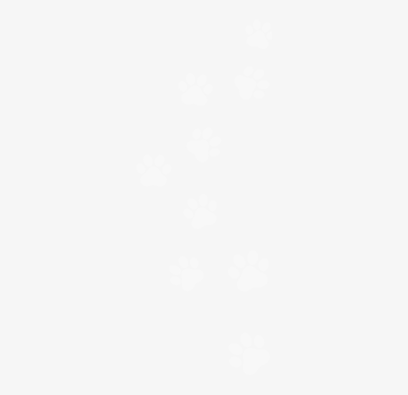 White Paws White Paws - Leinster Rugby Logo White PNG Image ...