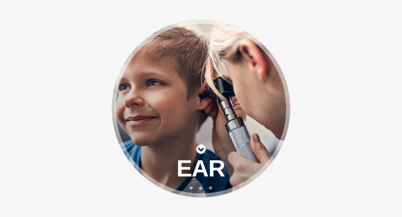 Austin Ent Clinic Provides A Full Range Of Services - Ear PNG Image ...