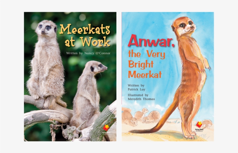 Meerkats At Work / Anwar, The Very Bright Meerkat - Jocuri PNG Image ...