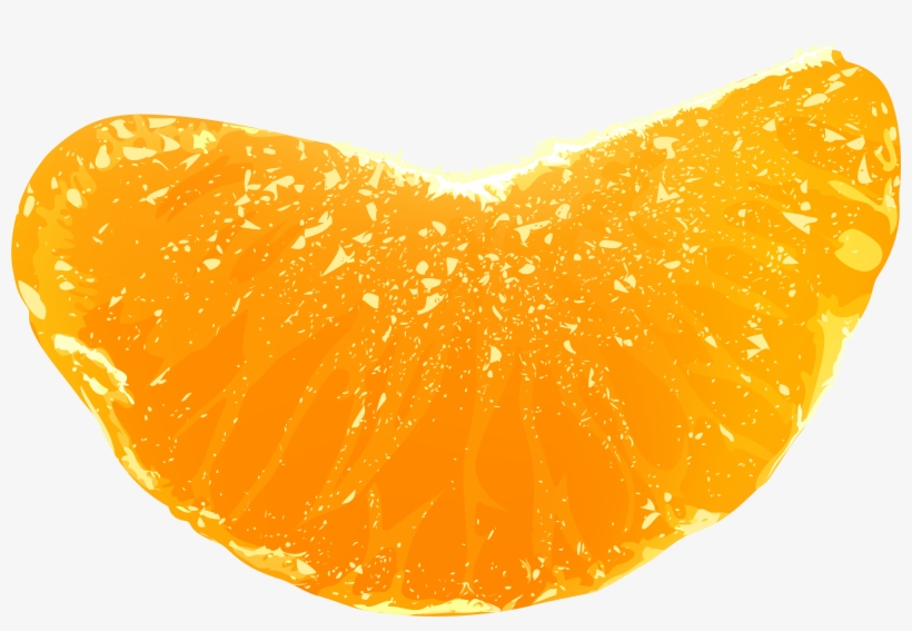 Tangerine Piece Png PNG Image | Transparent PNG Free Download on SeekPNG