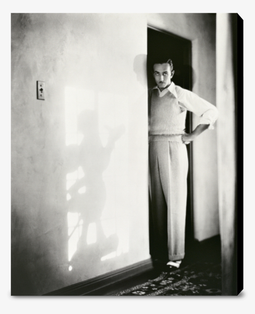 Walt & Mickey Mouse Shadow - Walt Disney: An American Original [book ...