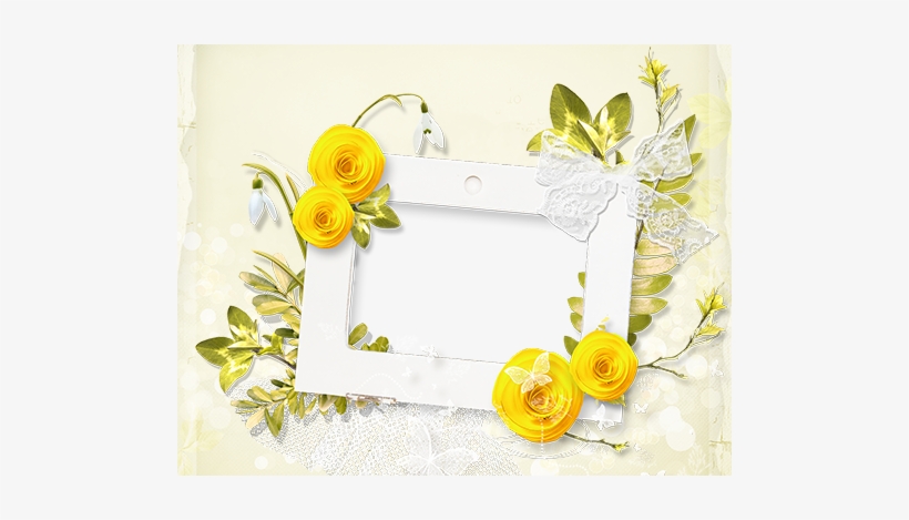 Download Bright Yellow Flowers - Picture Frame | Transparent PNG ...