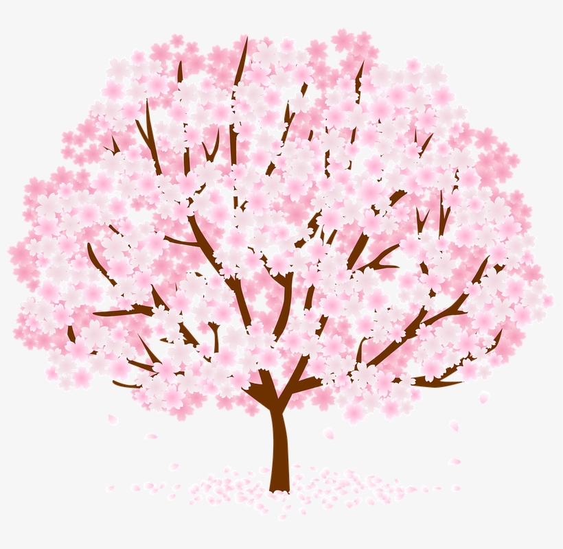 Tree, Blossom, Flower, Nature, Pink - Spring PNG Image | Transparent ...