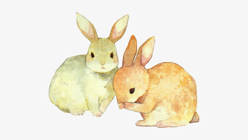 Two Rabbits - Rabbit PNG Image | Transparent PNG Free Download on SeekPNG