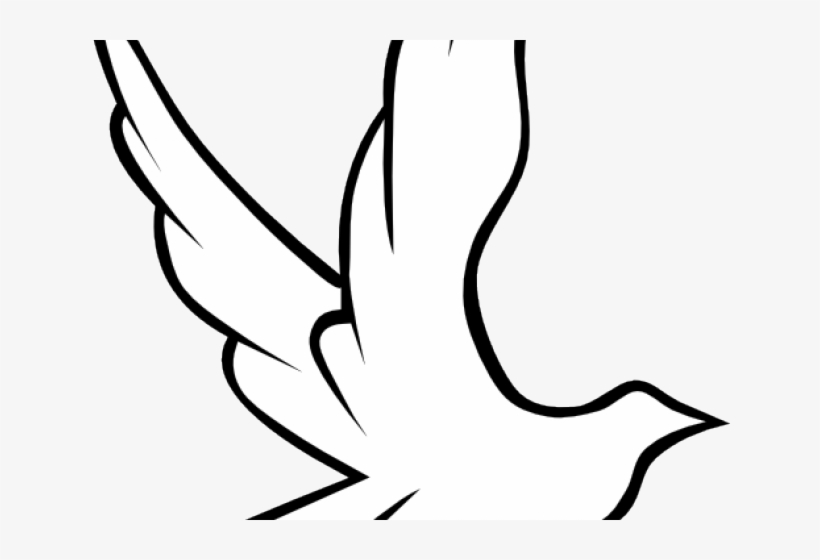Dove Vector - Dibujo De Paloma Rosa PNG Image | Transparent PNG Free ...