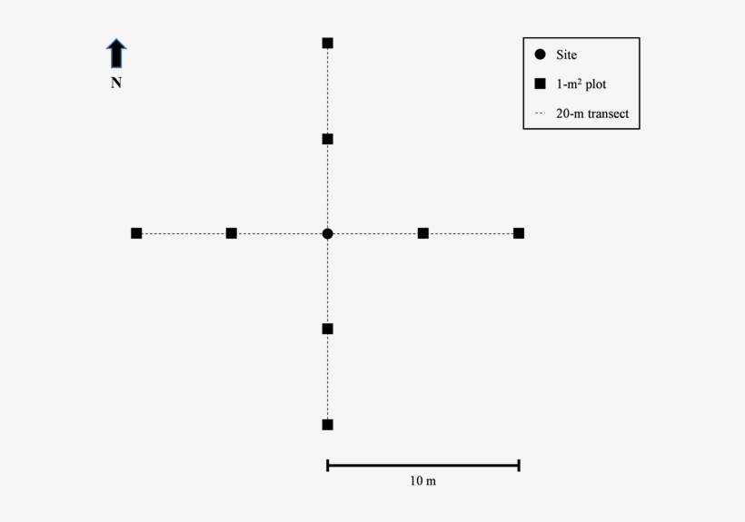 Habitat Sampling Scheme At White Tailed Deer Fawn Birth - Diagram PNG ...