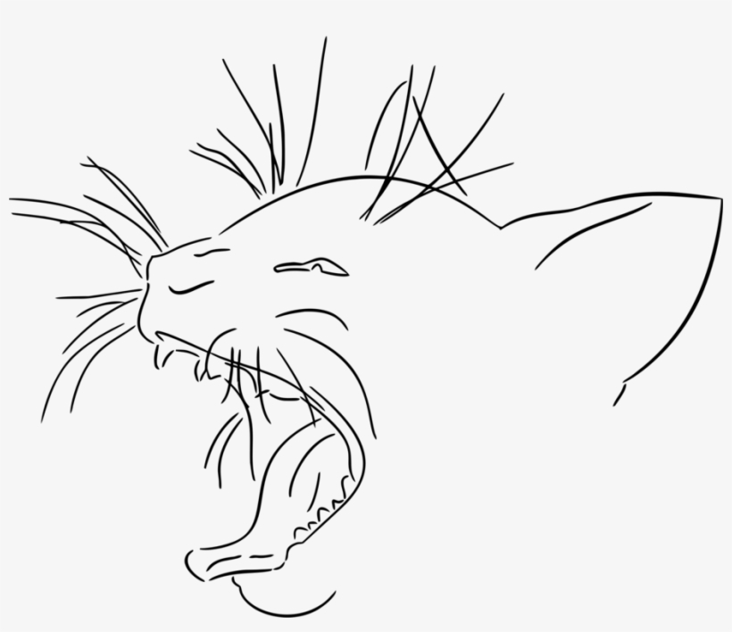 Whiskers Cat Kitten Felidae Drawing Free Commercial PNG Image ...