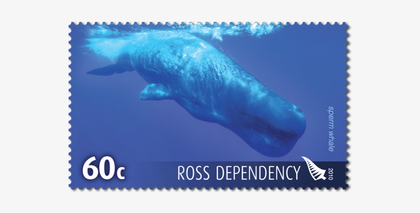 Product Listing For 2010 Ross Dependency Whales Of - Jpeg PNG Image ...