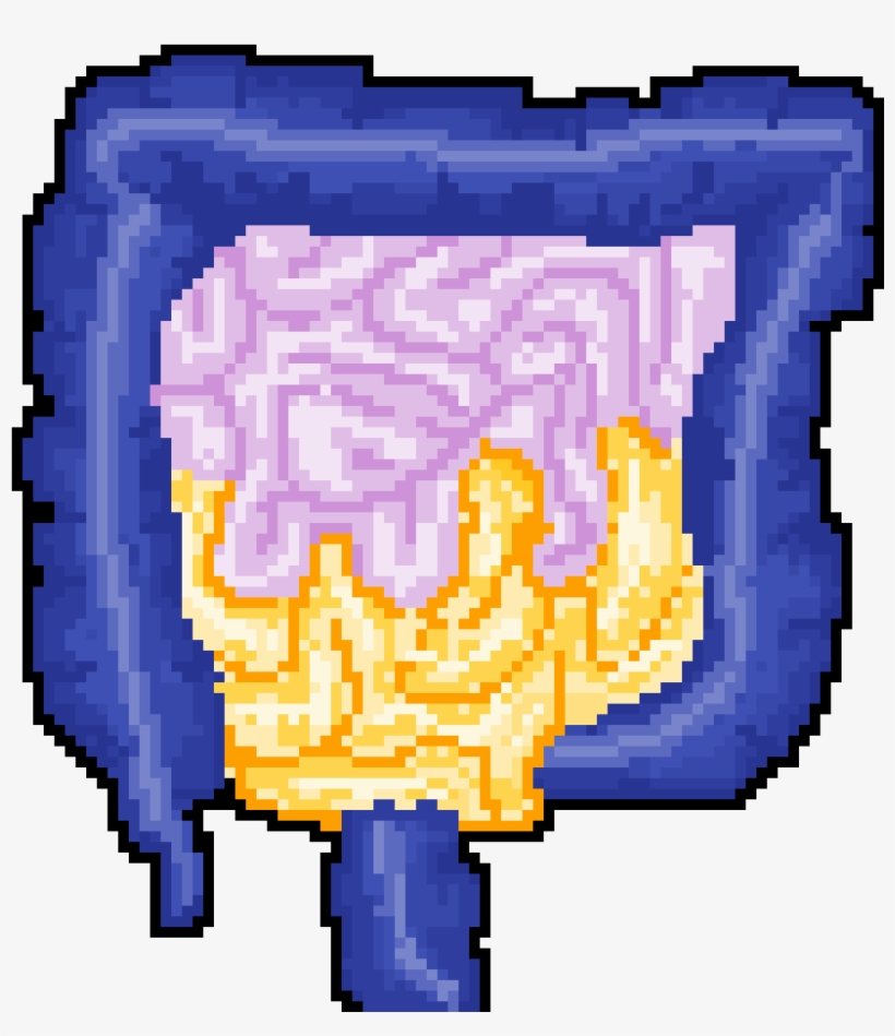 Intestines - Large Intestine PNG Image | Transparent PNG Free Download ...