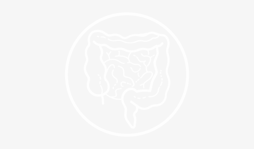 Related - Brain Gut PNG Image | Transparent PNG Free Download on SeekPNG