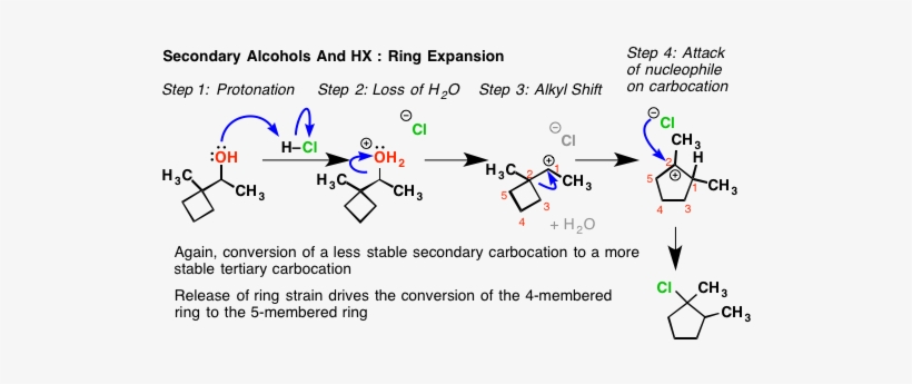 This Type Of Alkyl Shift Commonly Gives Students A - Go From ...