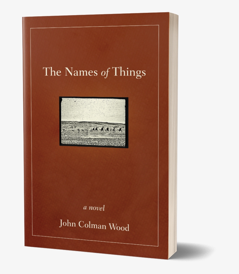 Cover Of The Names Of Things - Names Of Things By John Colman Wood PNG ...