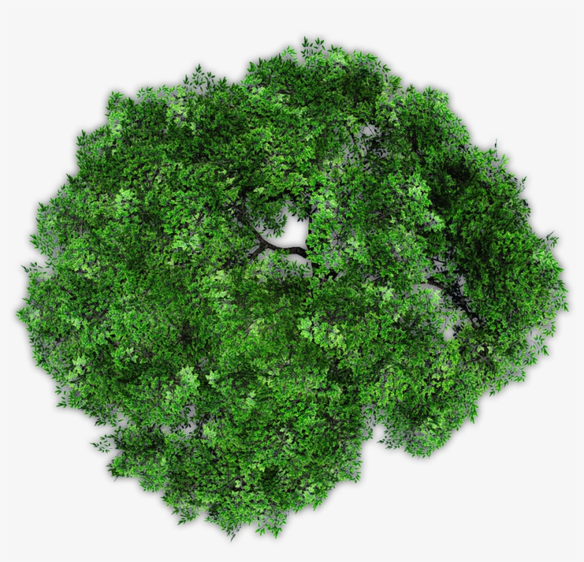 Click Here To See The Dramascape Website - Global Warming Green PNG ...