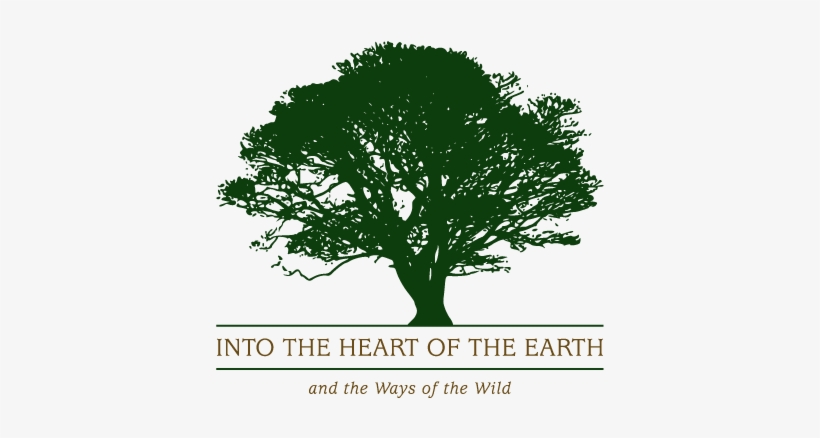 Tree Silhouettes Clipart - Dark Green Tree Clipart PNG Image ...