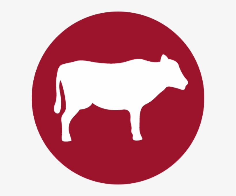 Halo Uses Only Real Whole Meat, Poultry, Or Fish, And - No Red Meat ...