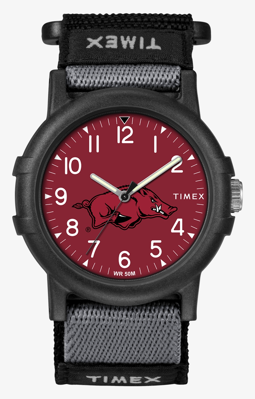 Recruit Arkansas Razorbacks Large - Timex Camper T49713 Watch PNG Image ...