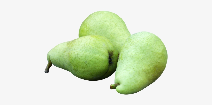 Pear Fruit Png Image - Pear PNG Image | Transparent PNG Free Download on SeekPNG