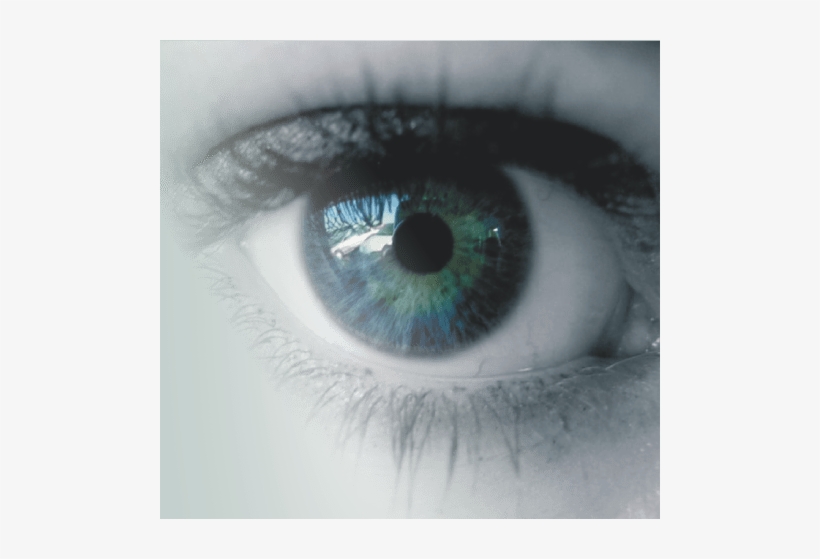 Https - //i2 - Wp - Com/www - Merlindesignbureau - - Olho Da Inveja ...