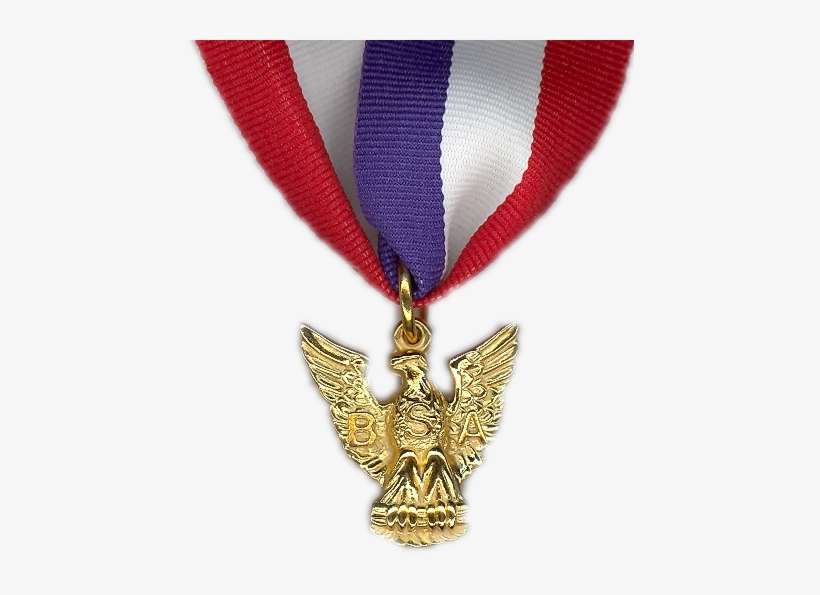 Distinguished Eagle Scout Award PNG Image | Transparent PNG Free ...